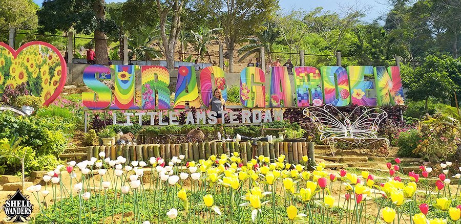 Cebu Sirao Garden : How to Get There » Shellwanders
