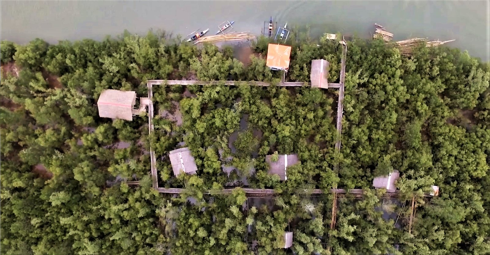 How to Get to Ormoc Mangrove Eco-Park + What's in There? » Shellwanders