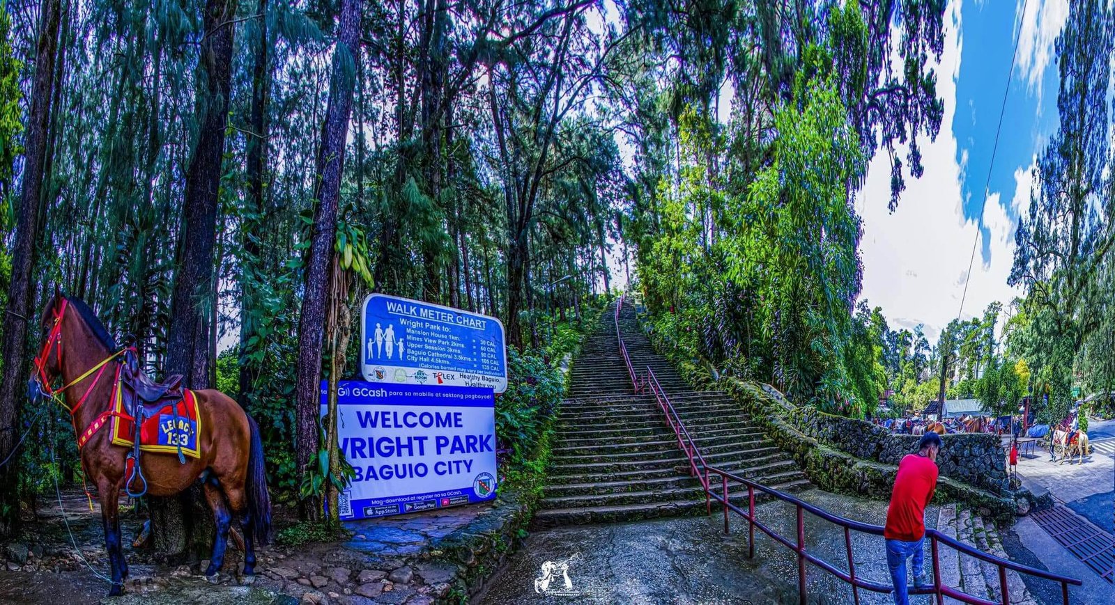 Wright Park Baguio: A Fun And Affordable Day Out » Shellwanders